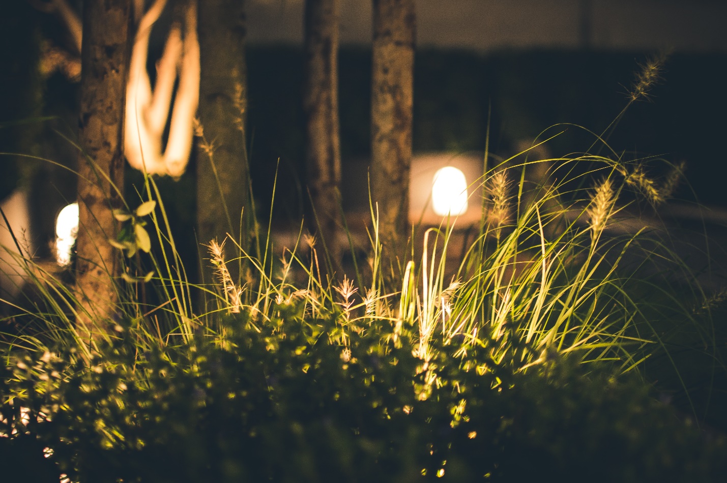 8 Best Solar Rock Lights - light.style